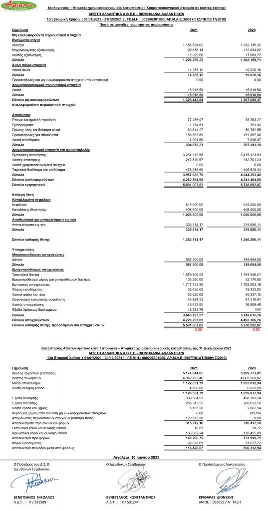 Ισολογισμός 2021 - αλλαντικά Αρίστη